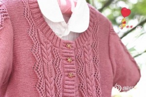 Cable and Lace Wave Panel - Knitting Kingdom